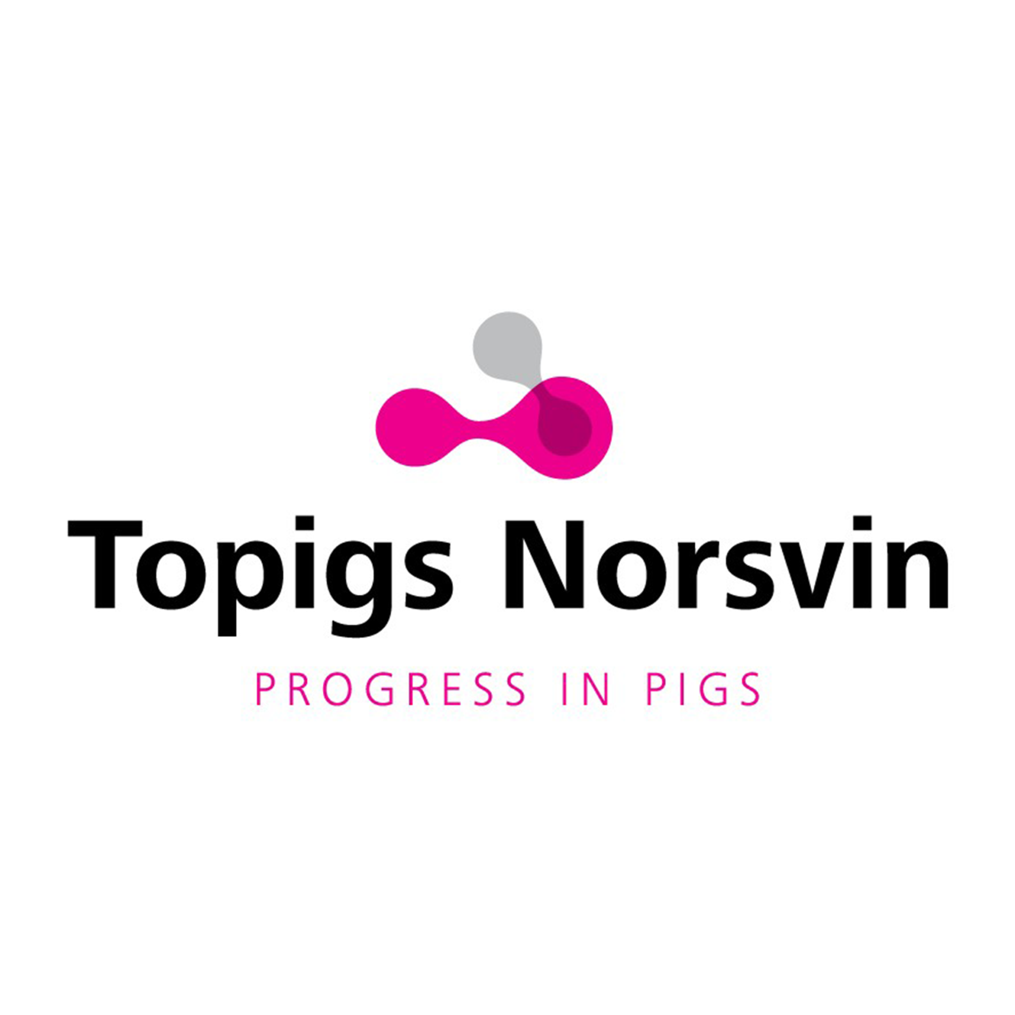 SESAME Informatique | Développeur des logiciels STIM'Vente